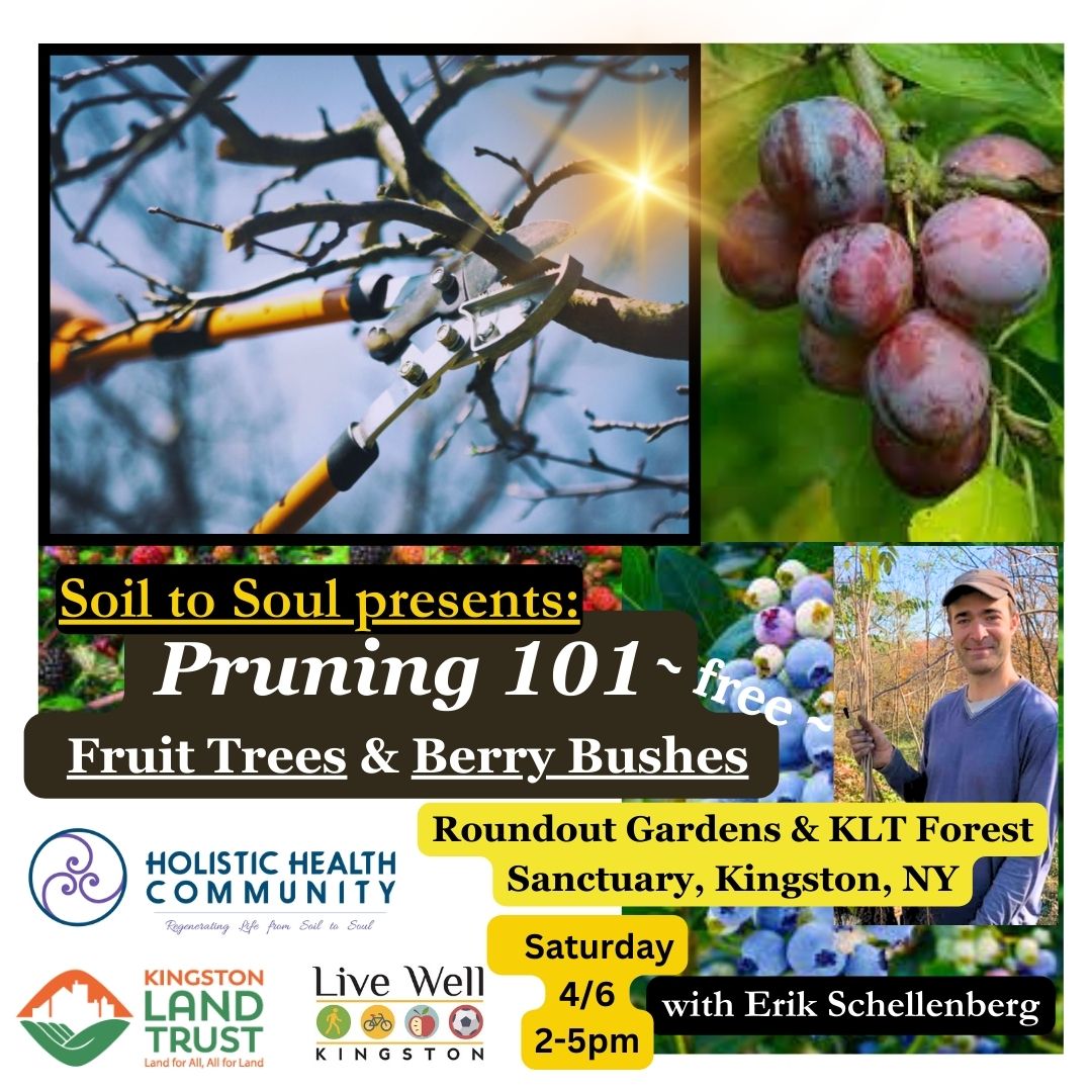 Pruning 101: Fruit Trees and Berry Bushes, free educational workshop! – Live Well Kingston